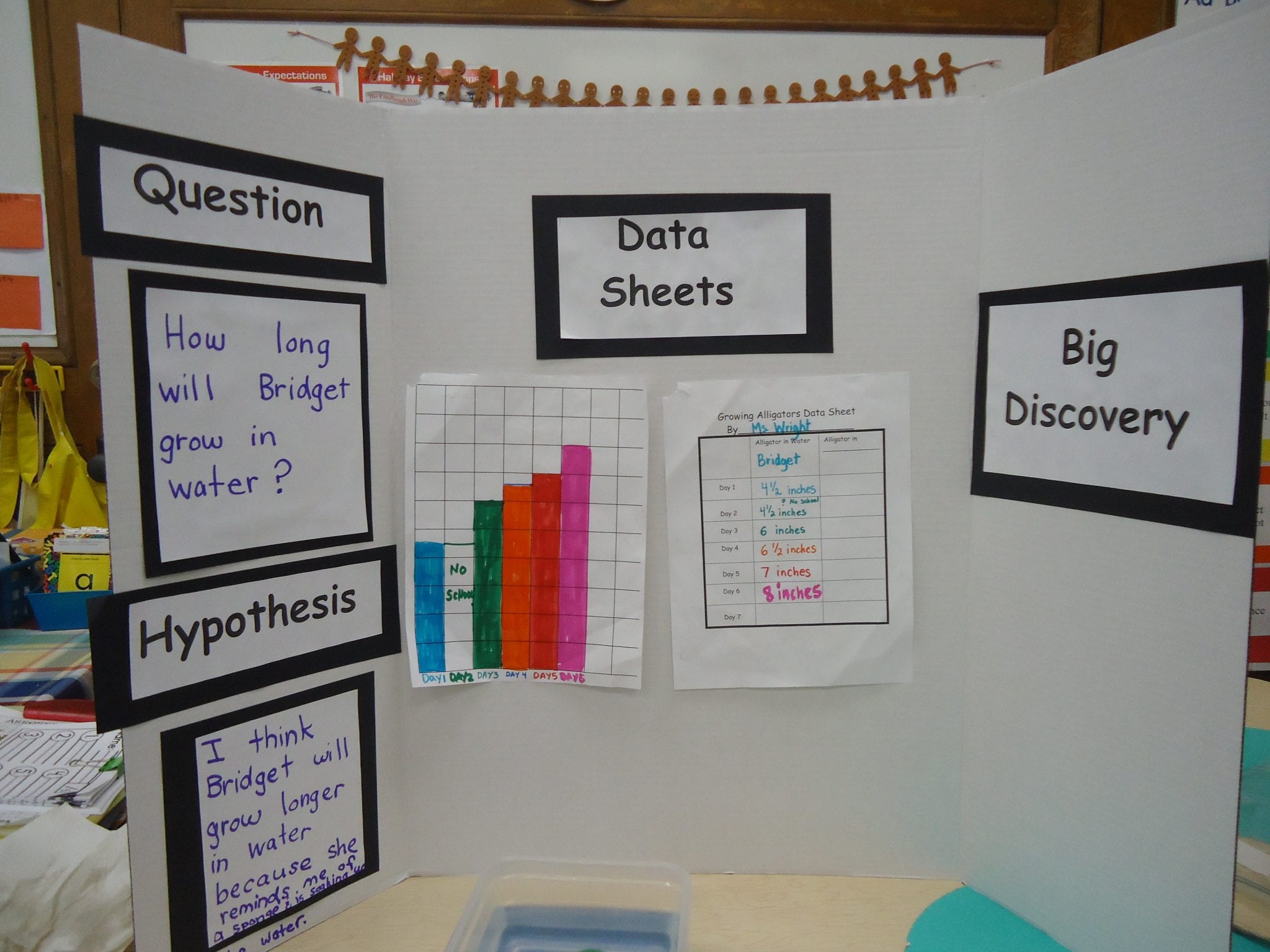 Science Display Boards Ms Wright s Kindergarten Science Display Boards Ms Wright s Kindergarten