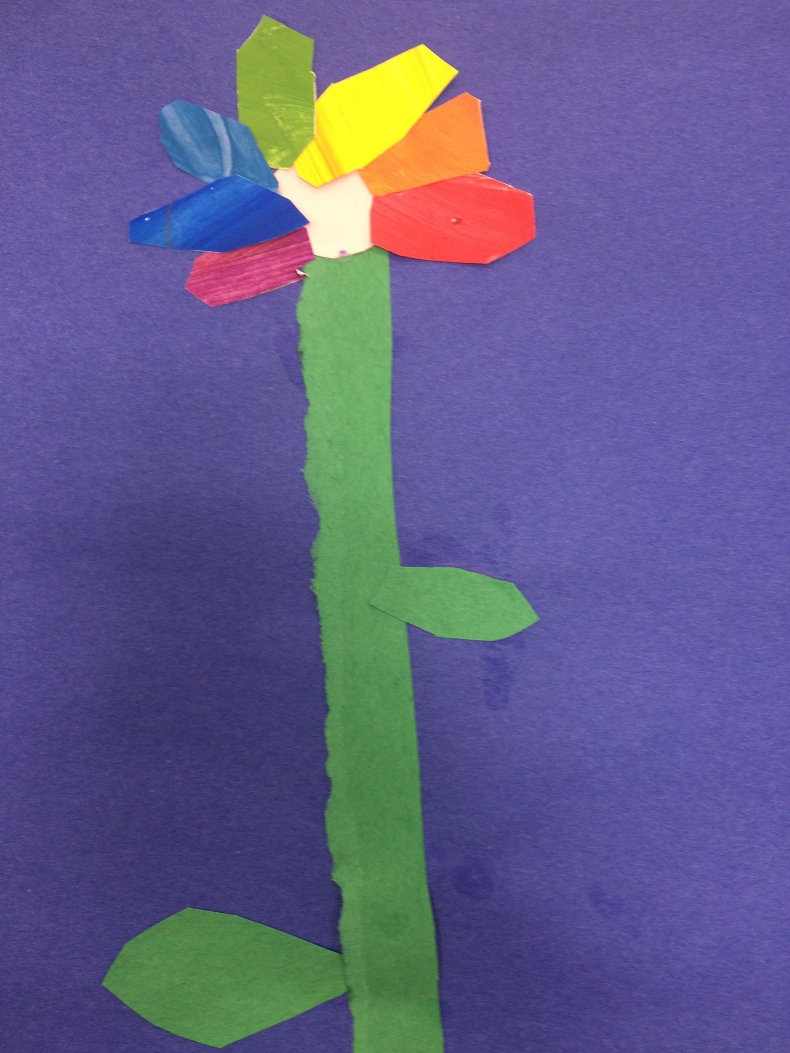 Kindergarten Color Wheel Flowers – Art With Ms. Bruce