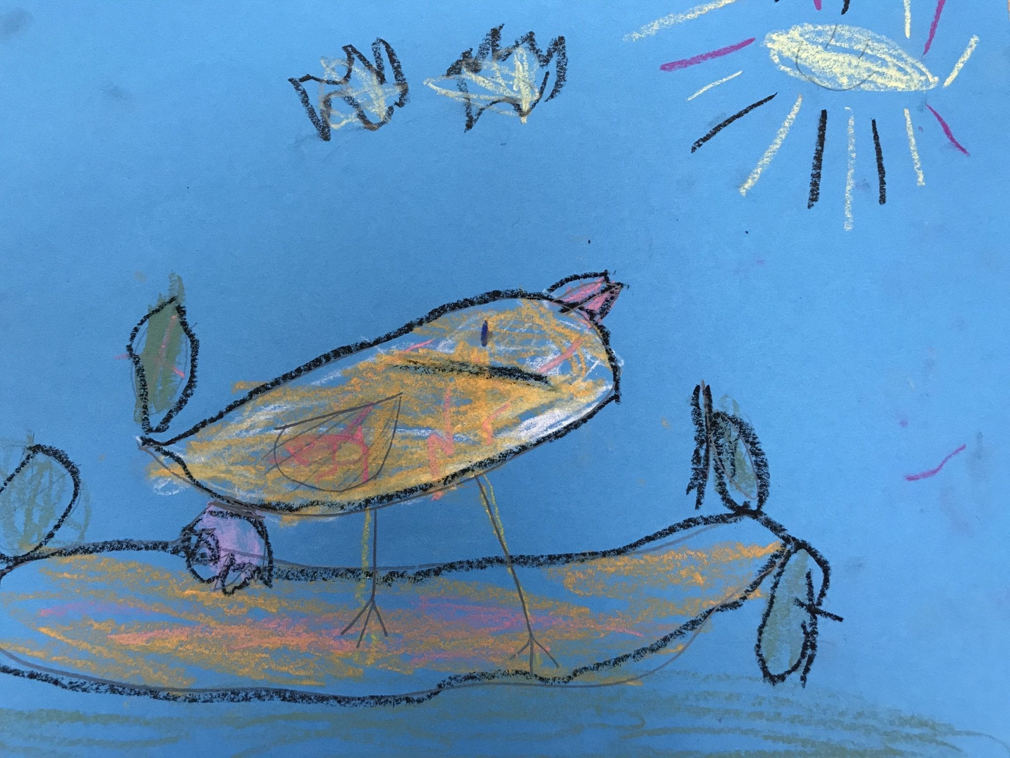 Young 5’s Chalk Birds – Art With Ms. Bruce