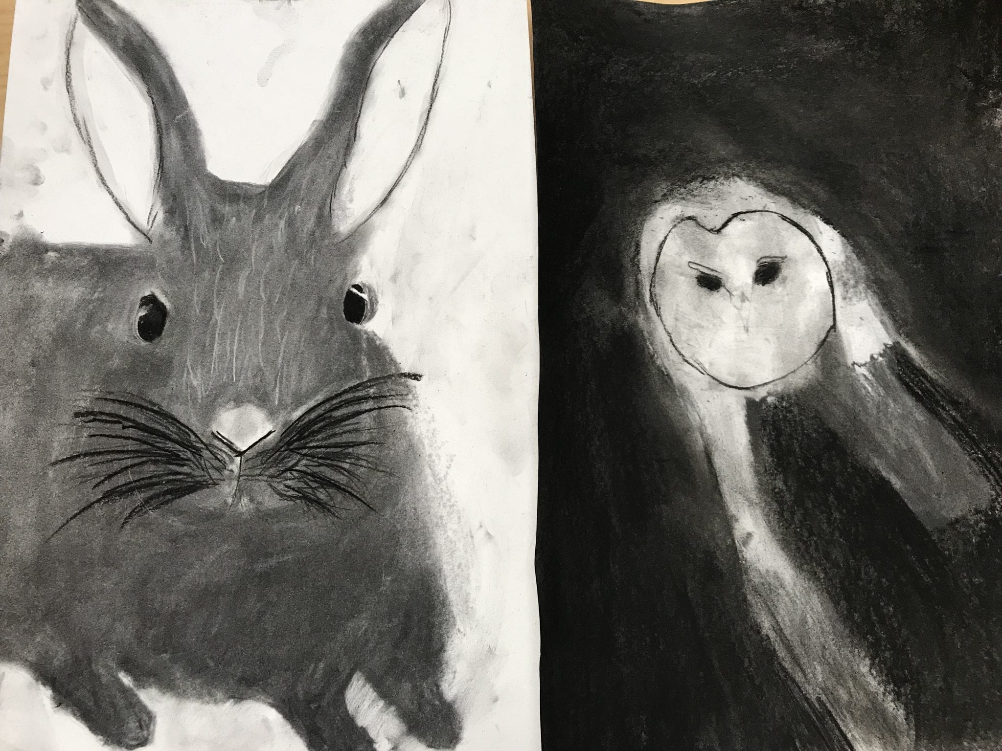 Fifth Grade Charcoal Animals – Art With Ms. Bruce