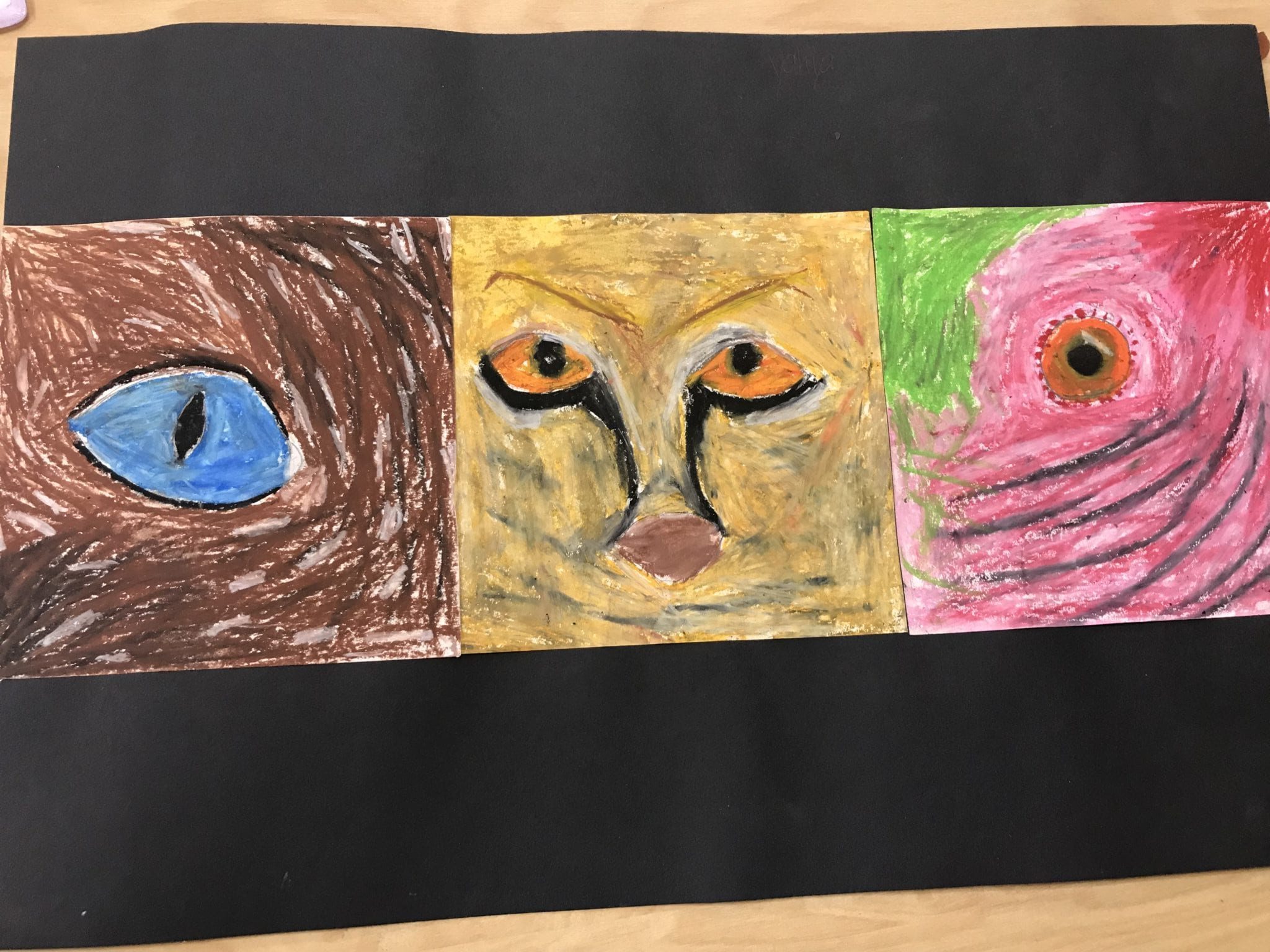 Fifth Grade Animal Eyes – Art With Ms. Bruce