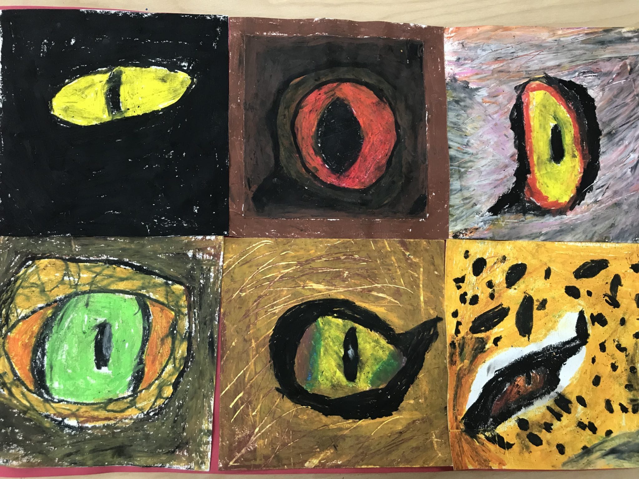 Fifth Grade Animal Eyes – Art With Ms. Bruce