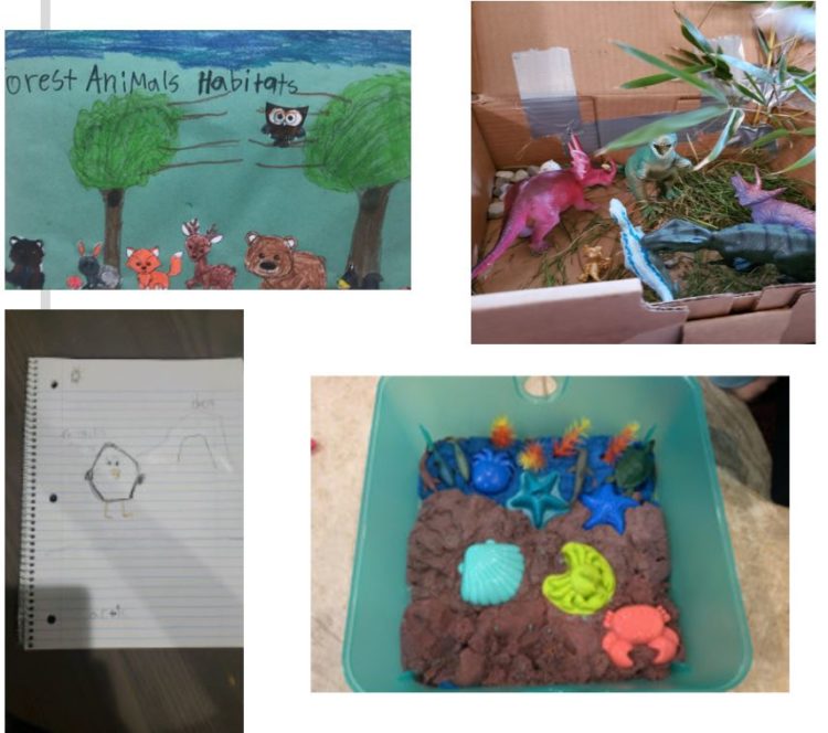 AMAZING Animal Habitats – Mrs. Caldwell's Technology Blog