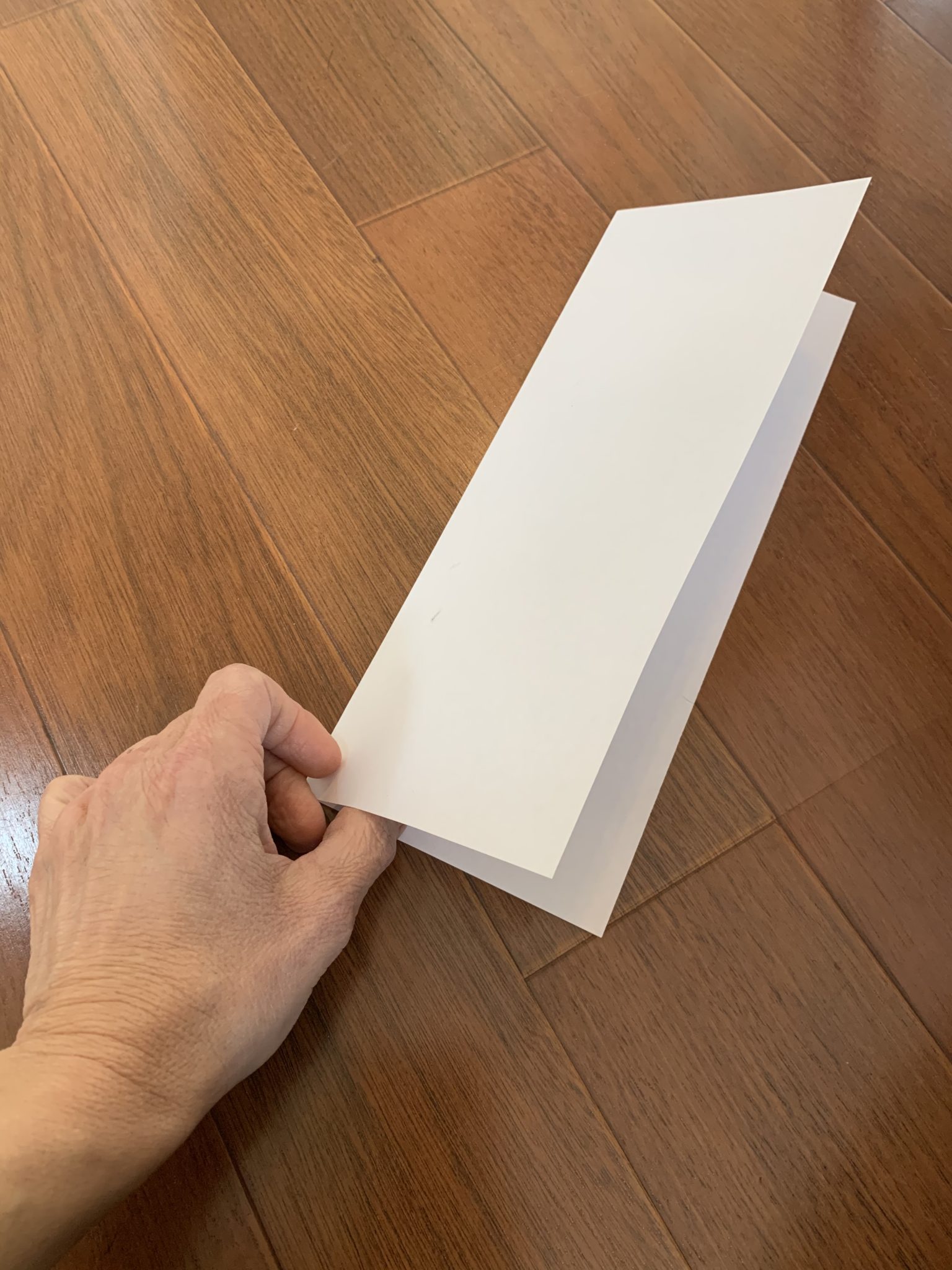 Catherine Galdes - Occupational Therapist | Finger Football – fine ...