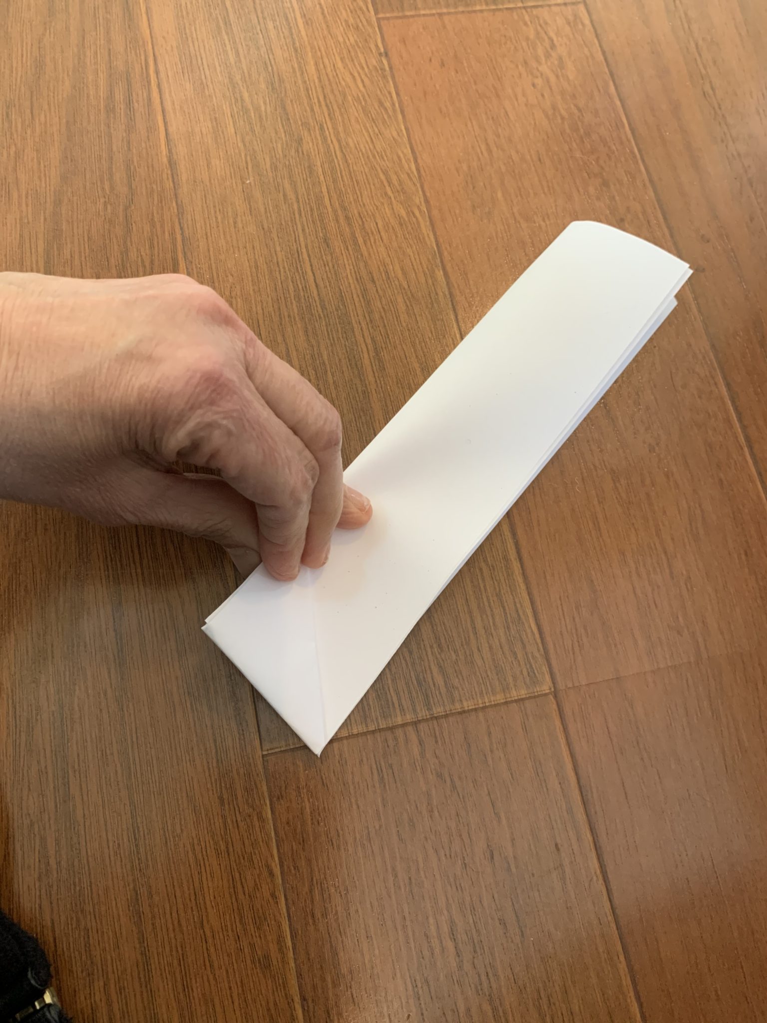 Catherine Galdes - Occupational Therapist | Finger Football – fine ...