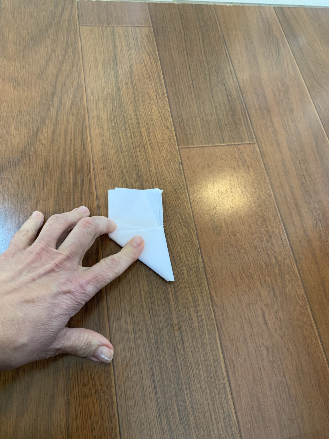 Catherine Galdes - Occupational Therapist | Finger Football – fine ...