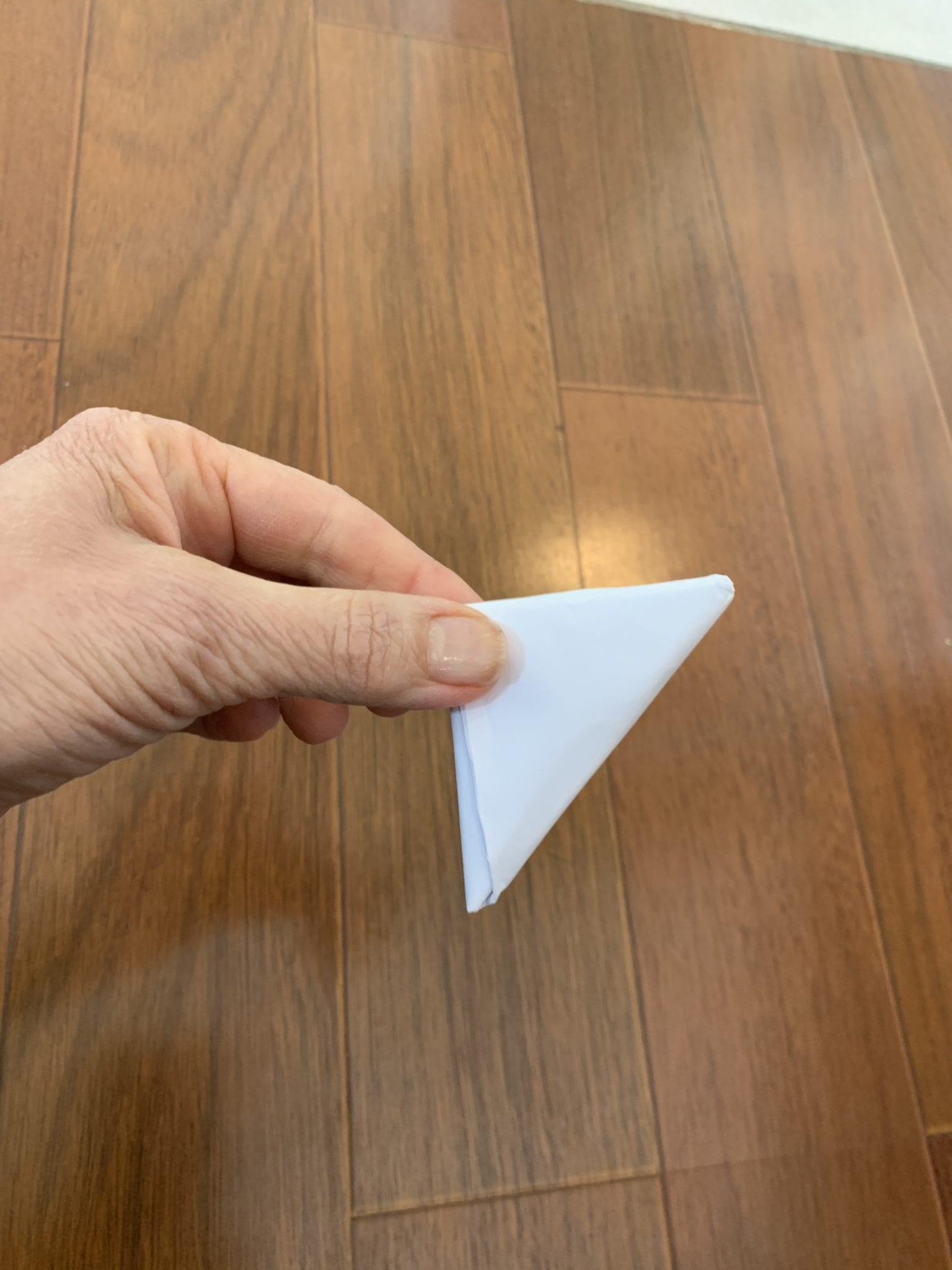 Catherine Galdes - Occupational Therapist | Finger Football – fine ...