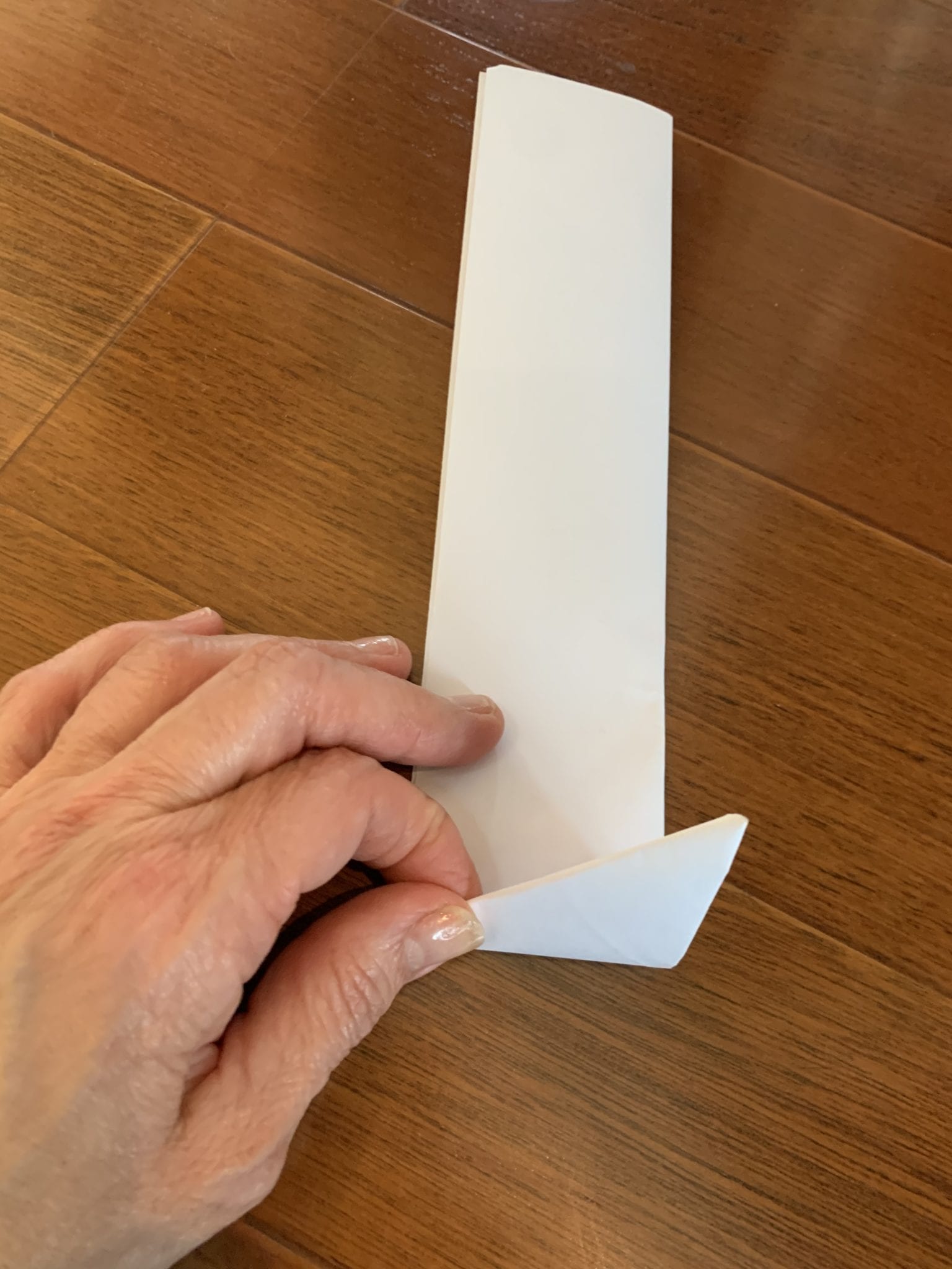 Catherine Galdes - Occupational Therapist | Finger Football – fine ...