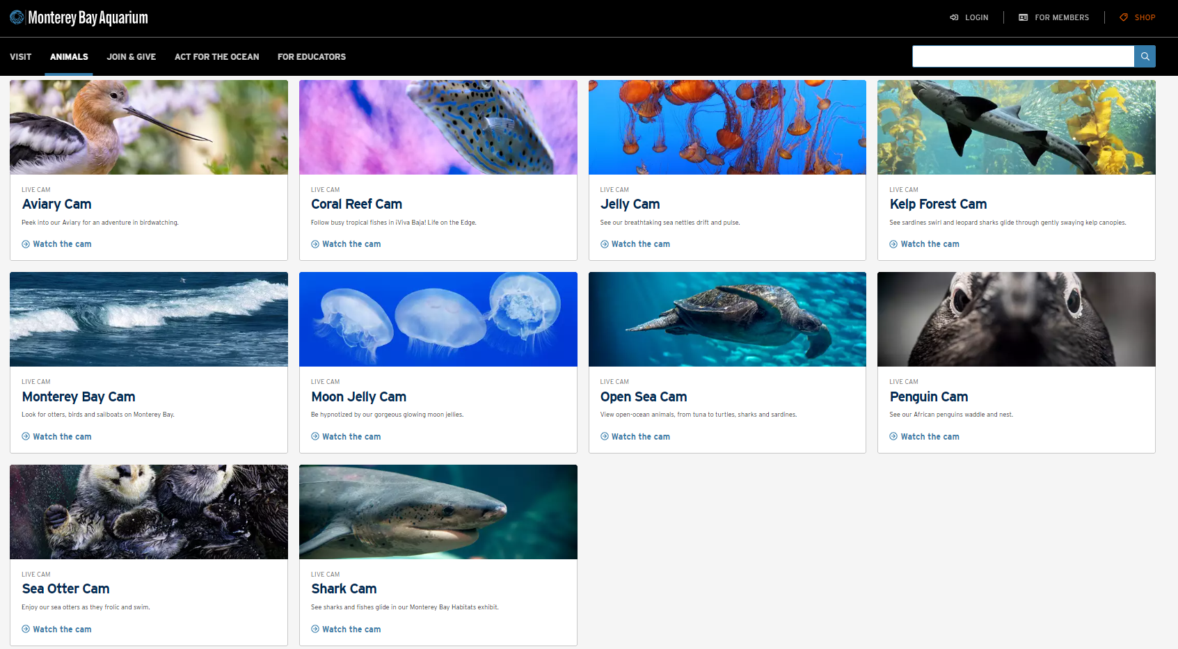 Virtual Field Trip: Monterey Bay Aquarium | Ms. Phoebe's Early ...