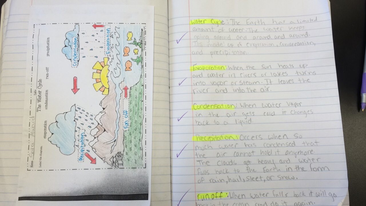 Mrs. Hussein 6th grade Blog