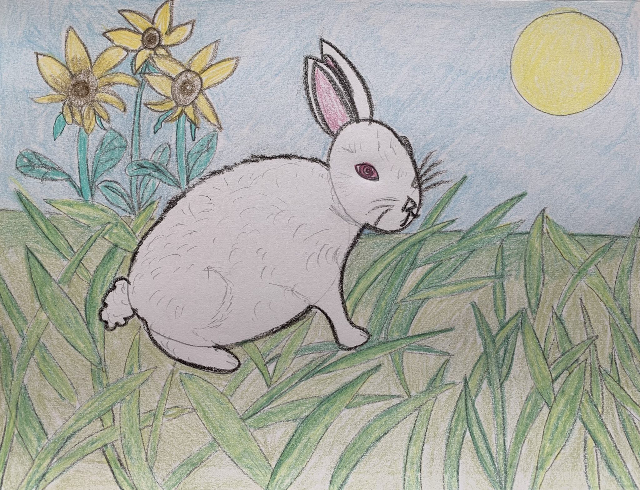 Draw your favorite animal or pet and where it lives! | Maples ...