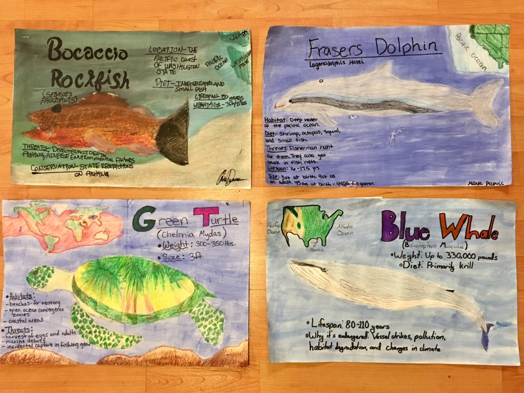 Endangered Animal Poster | Mr. Kade's Art Room Blog