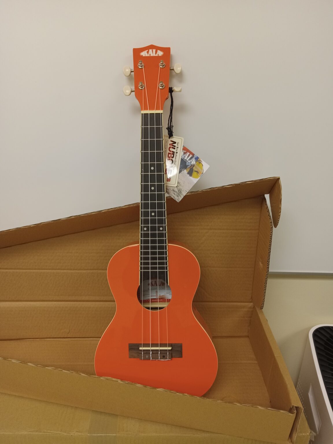 Mrs. Reed's Music Classroom | A Case for Care Part 2 – UPDATED