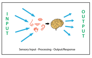 Sensory Processing – unlocking kids’ pOTential