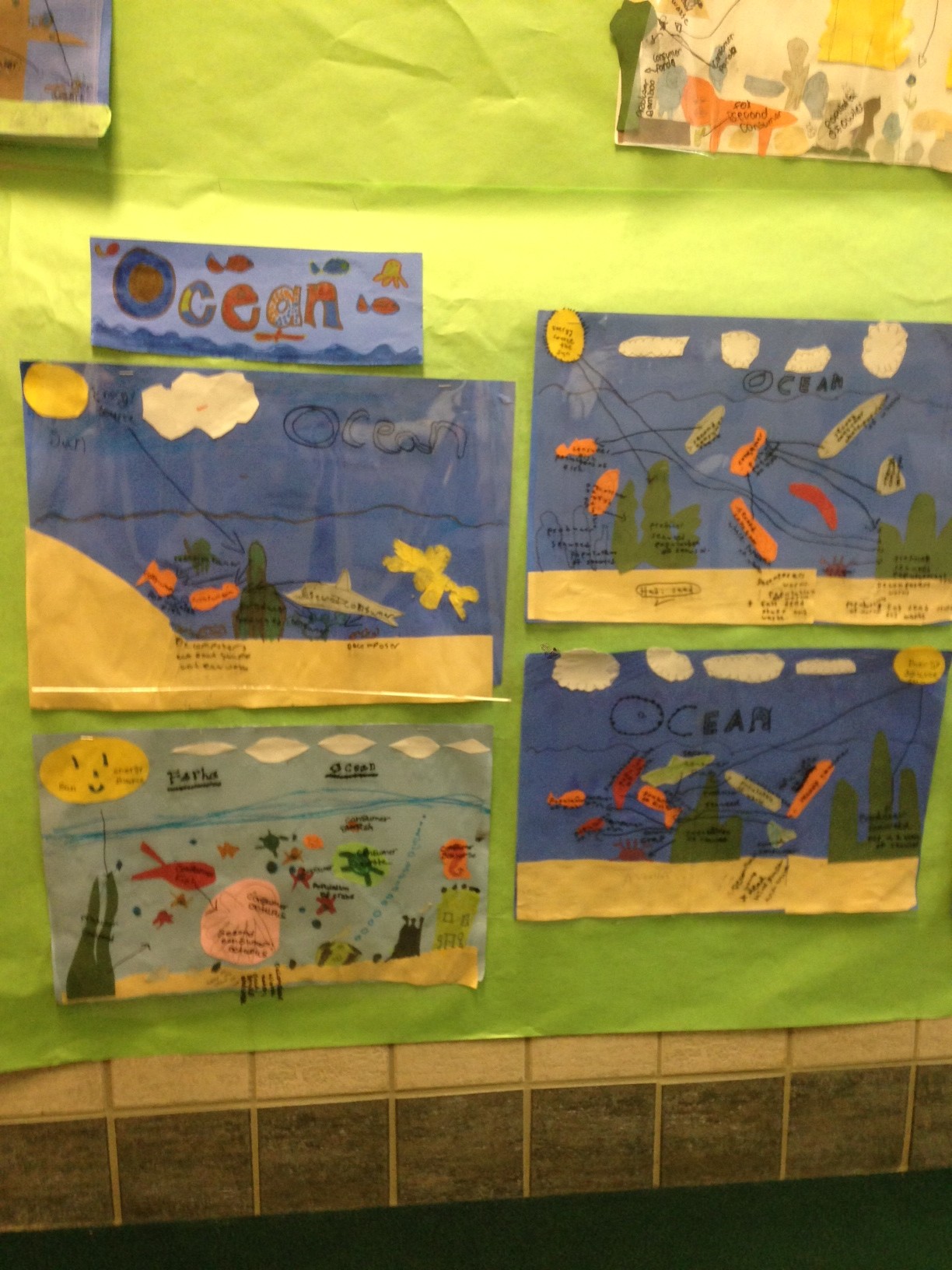 Ecosystem Projects | Shupe Scoop