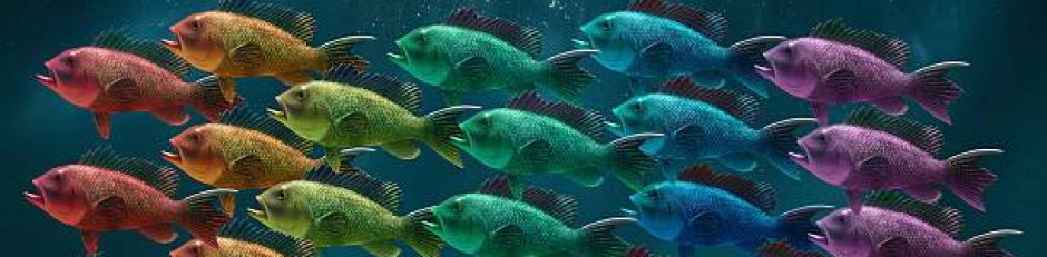 cropped-School-of-Rainbow-Fish-1.jpg | Mr. Tawile's Classroom Connection